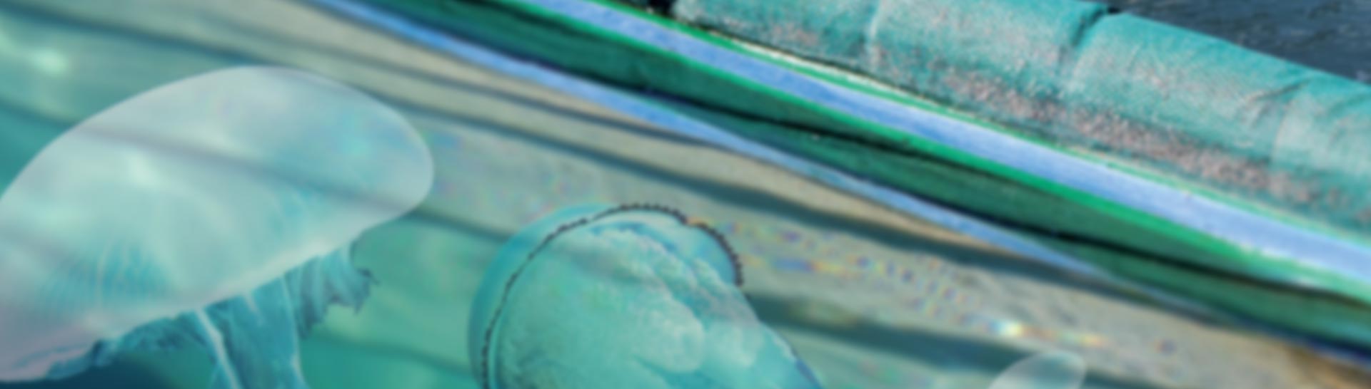 Reti Anti meduse e Antialga | Medusa Net